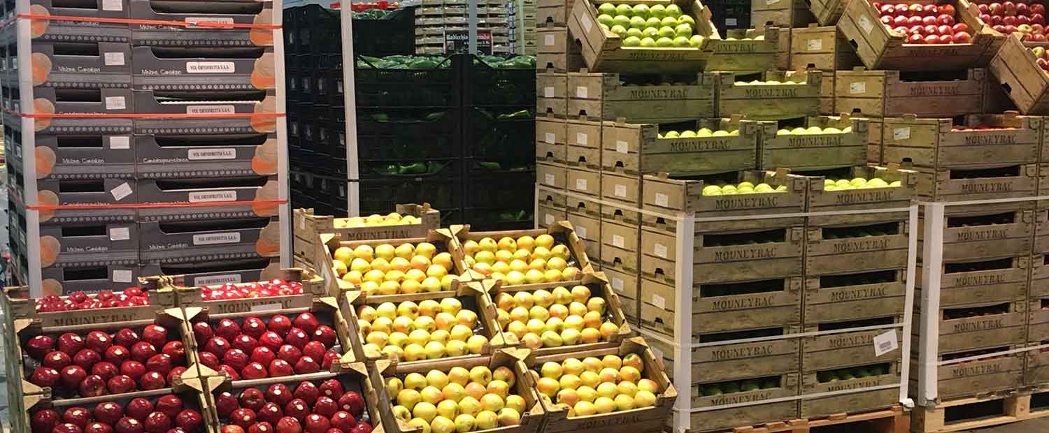 Nos dernières actualités en direct de Rungis - Paris Gastronomy ...